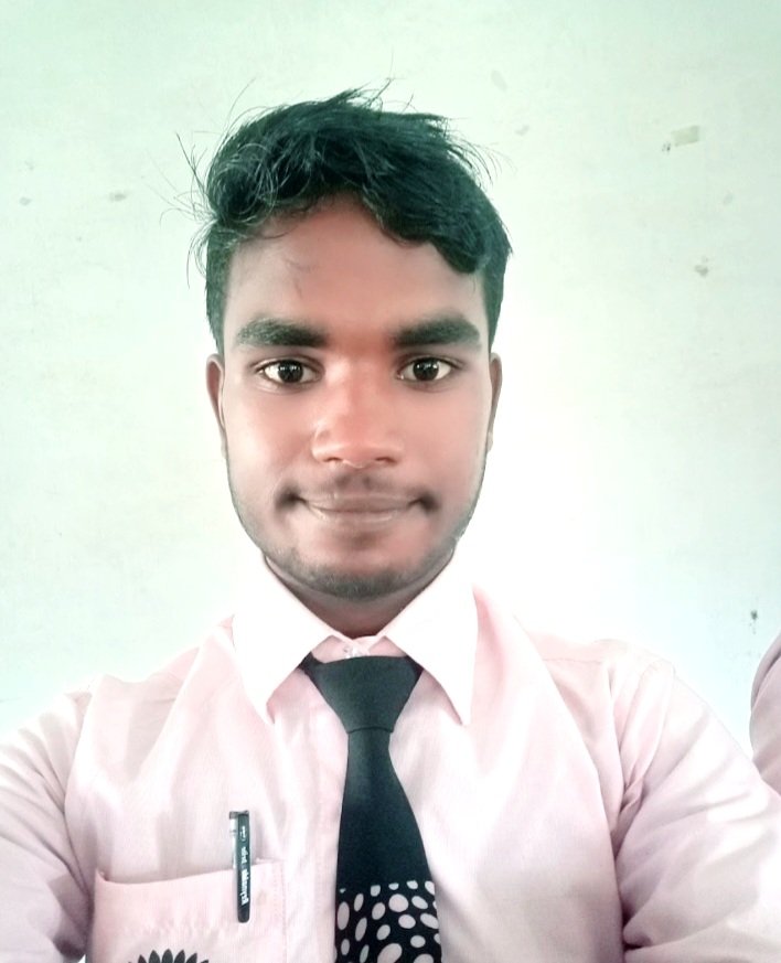Prince Kumar Portfolio